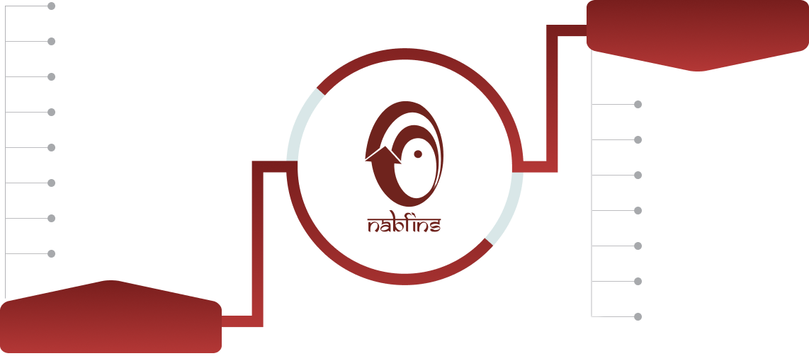 About us – Nabfins